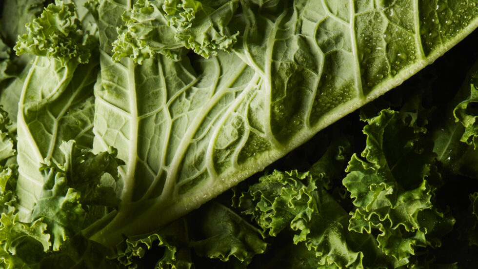 Why Fiber Is One of the Most Important Things You Can Eat - Aubergine ...